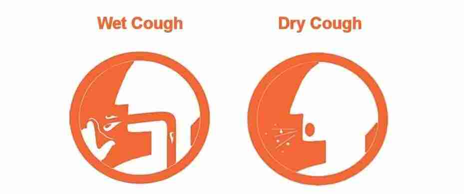 What is the Difference Between Dry Cough and Wet Cough? – SDH Naturals